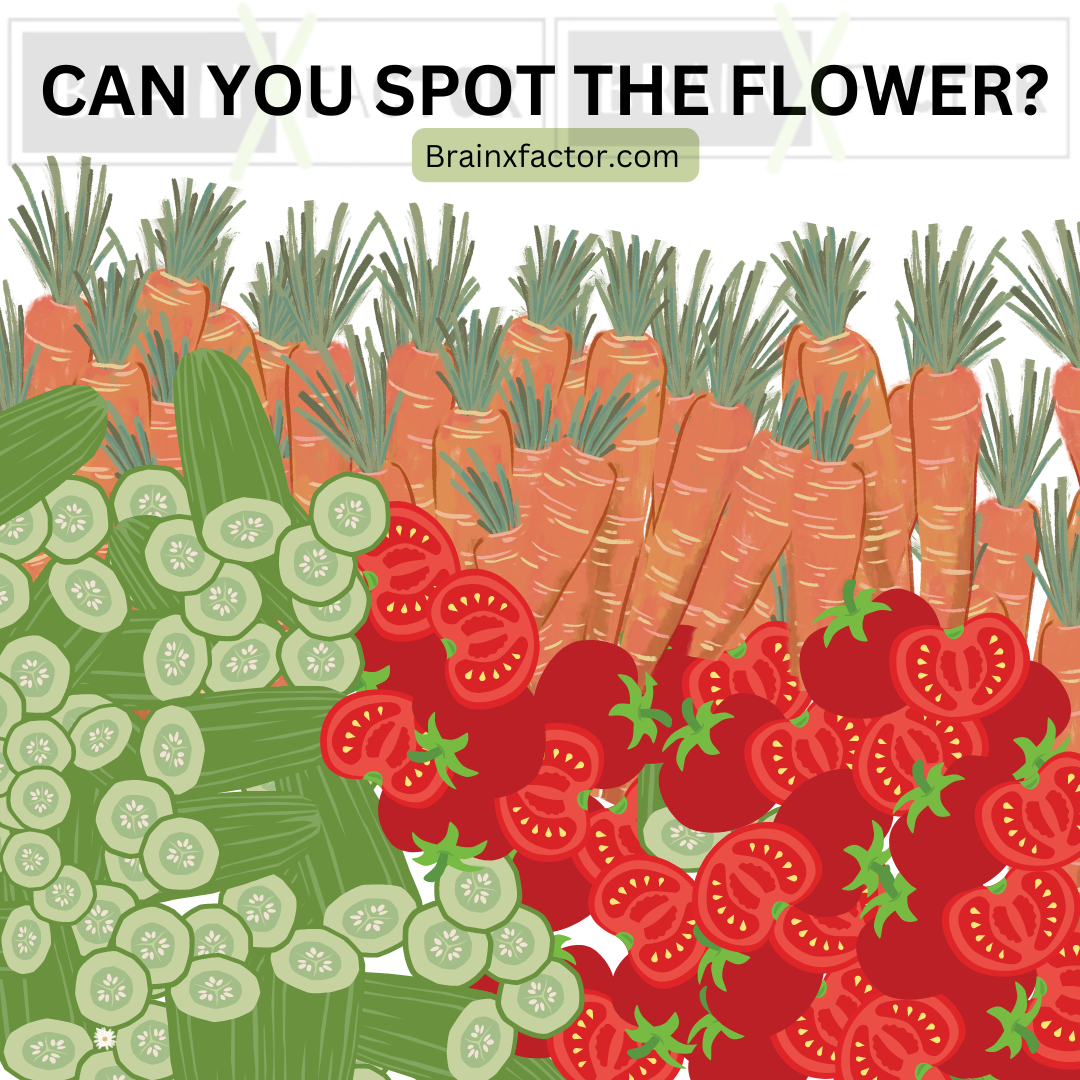 Puzzles: Spot It Two | Brain X Factor